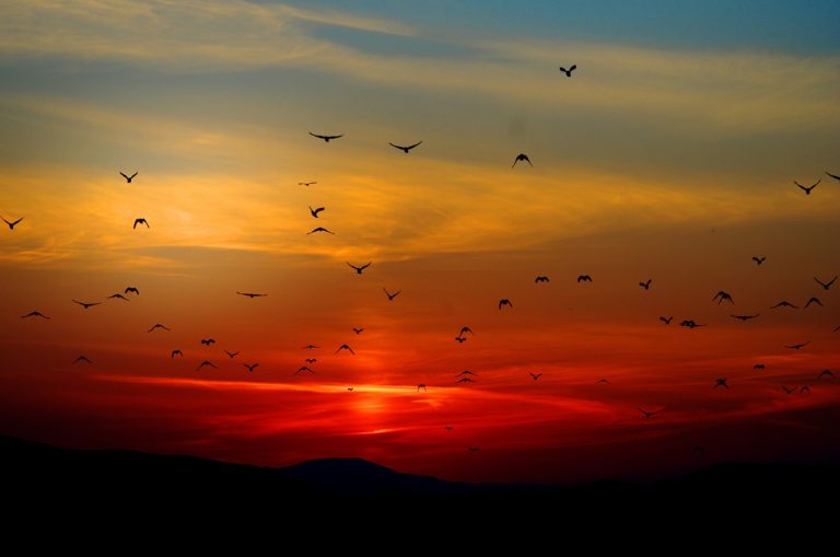 Exploring Levels of Faith: Stages of Spiritual Growth in Christ